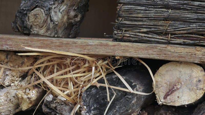 Insect House. Insect House at Sunset. Bug Hotel at the Park in ...
