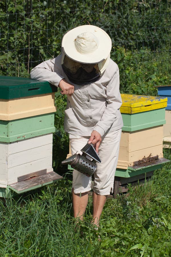 Female Beekeeper Operating Honey Extraction Plant Stock Image - Image ...
