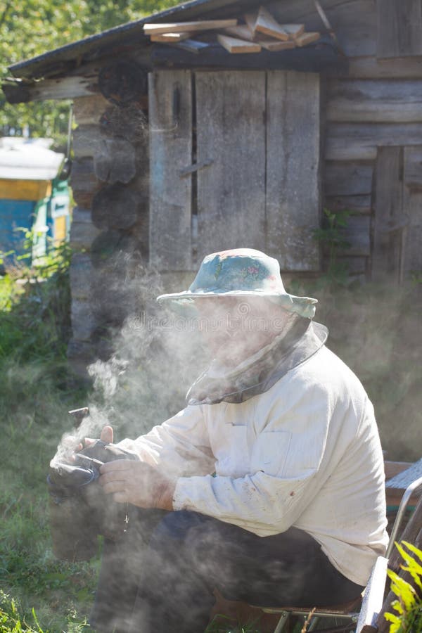 Bee-keeper stock photo. Image of country, beeswax, apis - 55334060
