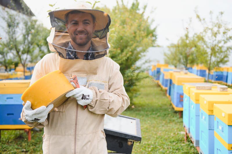 Bee Keeper in a Uniform Standing in Apiary and Holding a Wax Stock ...