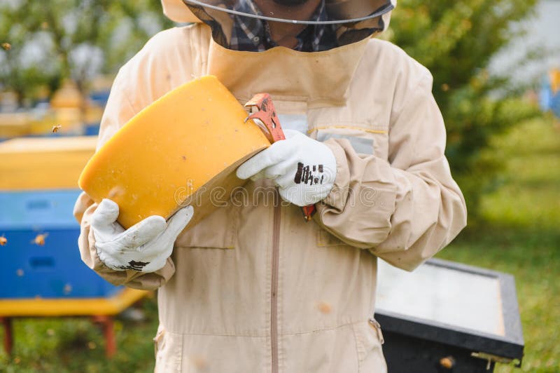 Bee Keeper in a Uniform Standing in Apiary and Holding a Wax Stock ...
