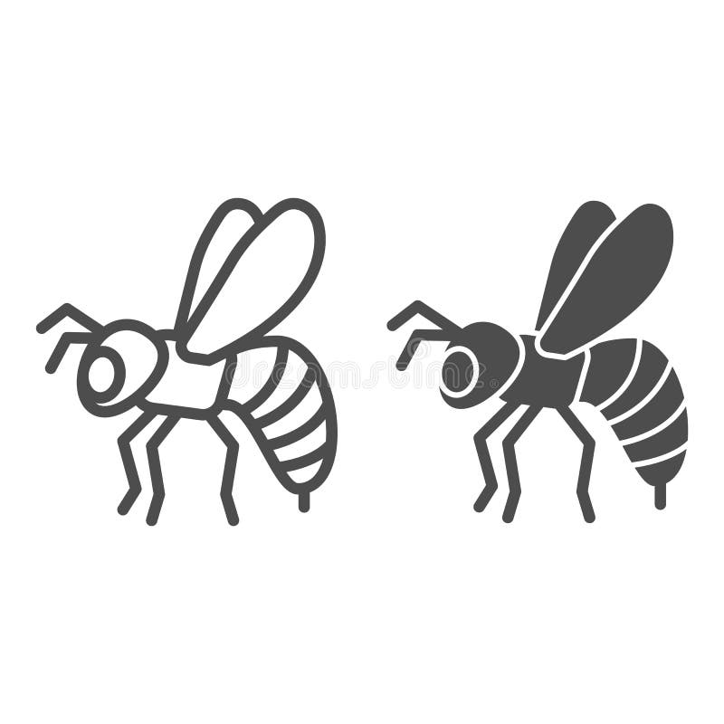 Bee Line and Solid Icon, Insects Concept, Honeybee Sign on White ...