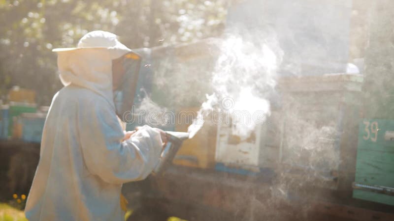 Bee-maker Beekeeper Man Working of a Smoke Pipe Beeper Smoker Device ...