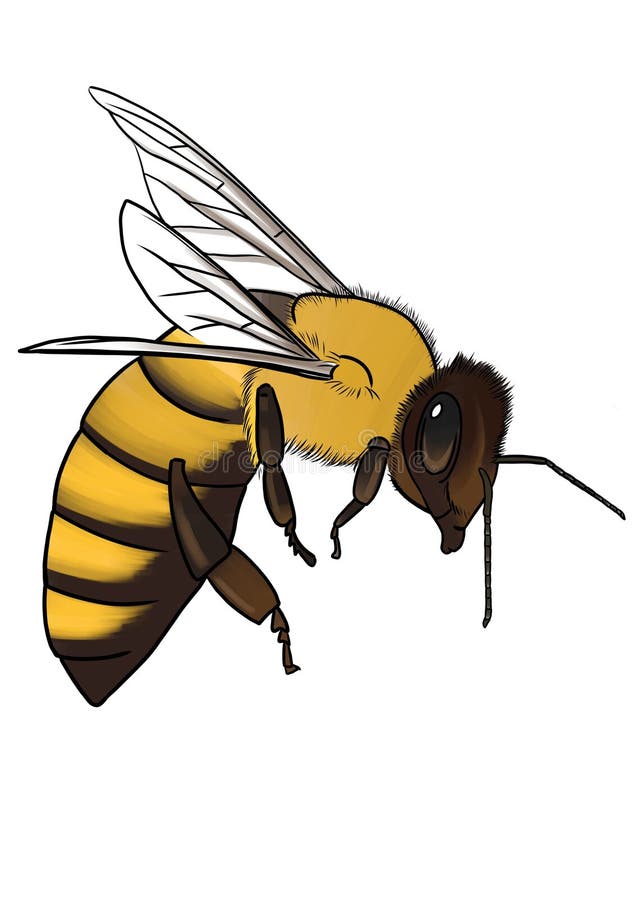 Bee marker illustration stock image. Illustration of font - 266822079