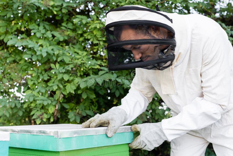 Bee Master in Protective Suit and Stock Photo - Image of beekeeper ...