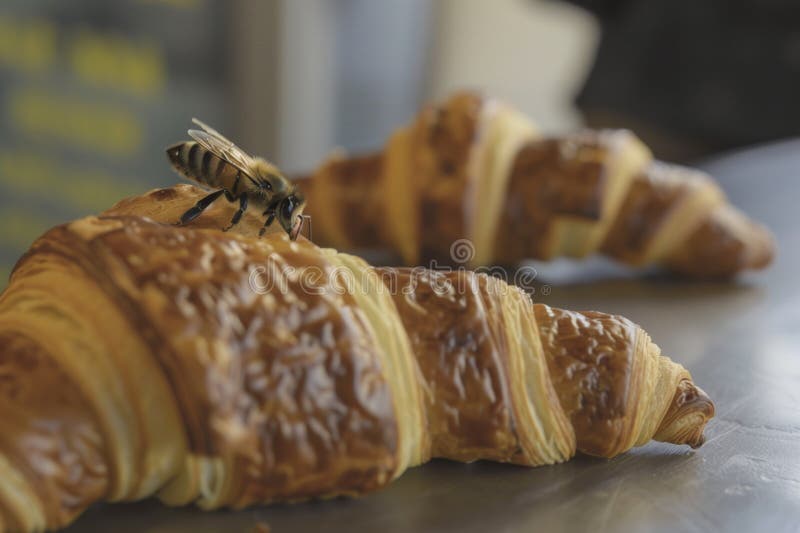 Bee Navigating a Crispy Croissant Surface Stock Image - Image of generated, food: 312489939