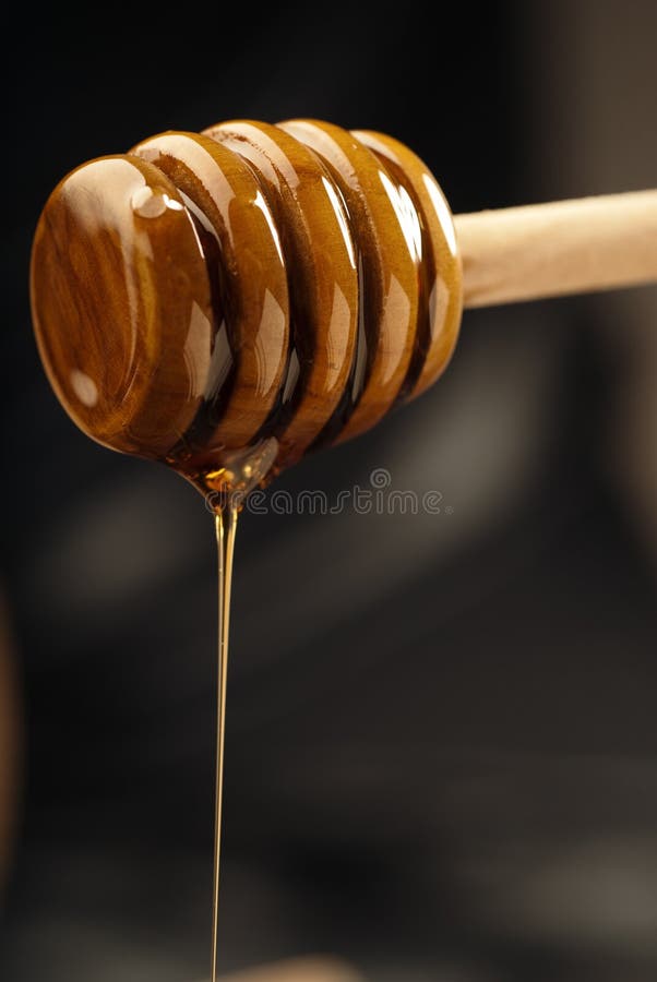 Bee nectar stock photo. Image of dessert, purity, drop - 27117934