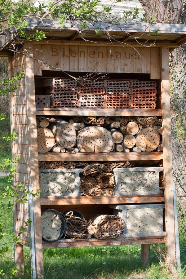 Bee Nesting Box Tree House Complex Stock Photo - Image of wood ...