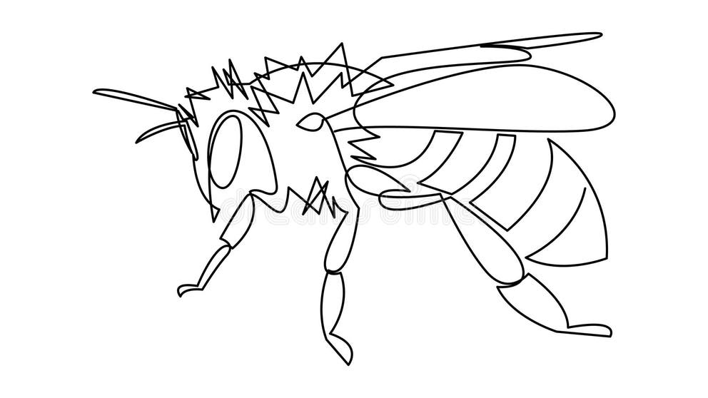 Single Bee One Line Drawing Stock Illustrations – 122 Single Bee One ...