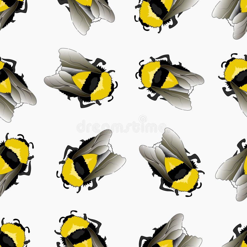 Bee Pattern Background. Seamless Pattern, Funny Bumblebees Stock Vector ...