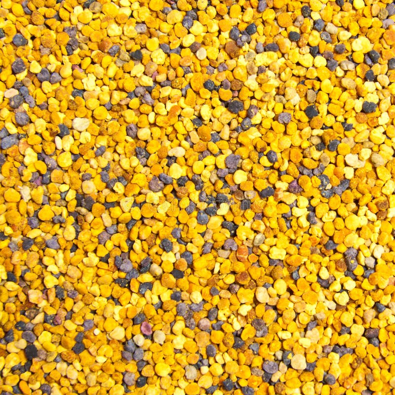 Bee Pollen stock image. Image of yellow, propolis, apiculture - 21550153