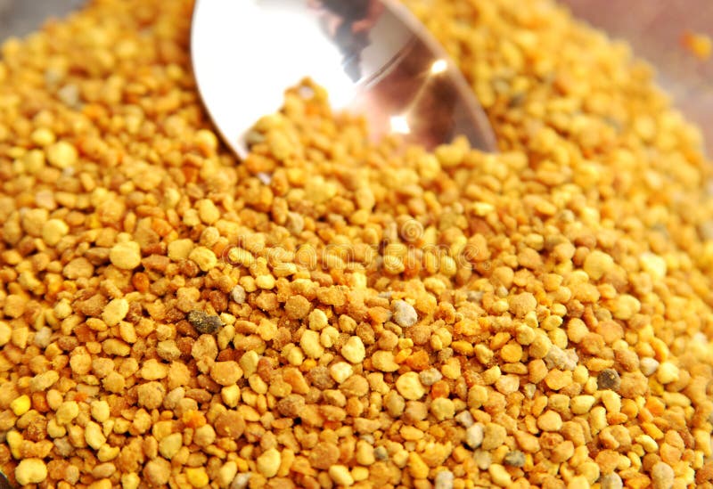 Bee pollen stock image. Image of honeycomb, lifestyle - 4801521