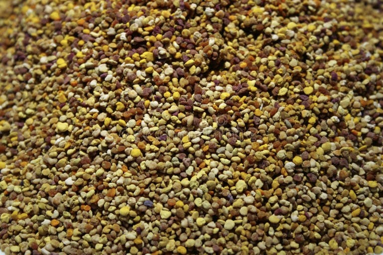 6,092 Bee Pollen Colors Stock Photos - Free & Royalty-Free Stock Photos ...