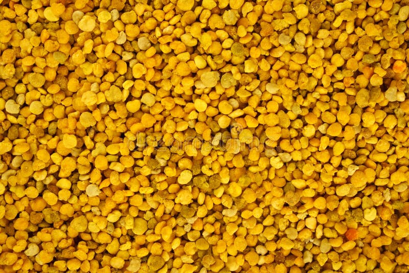 Bee Pollen Grain Background Stock Photo - Image of yellow, close: 24708418