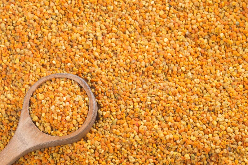 Bee Pollen Grains - Top View Stock Image - Image of medicine ...