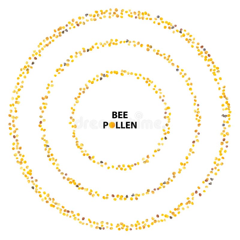 Bee Pollen, Perga, Flower Pollen Grains or Bee Bread Stock Vector ...