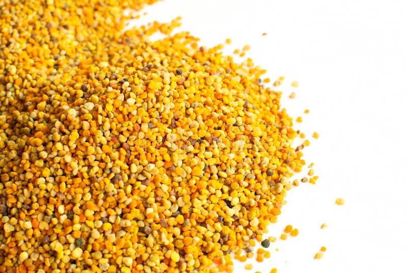 Bee pollen stock photo. Image of pollen, medicine, beehive - 37780656