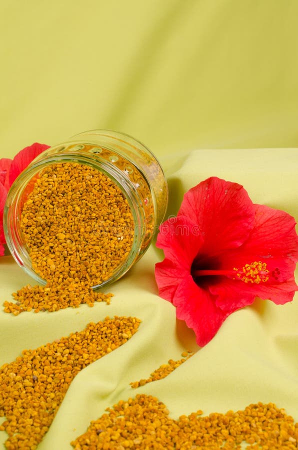 Bee pollen stock photo. Image of granules, still, space - 37039960