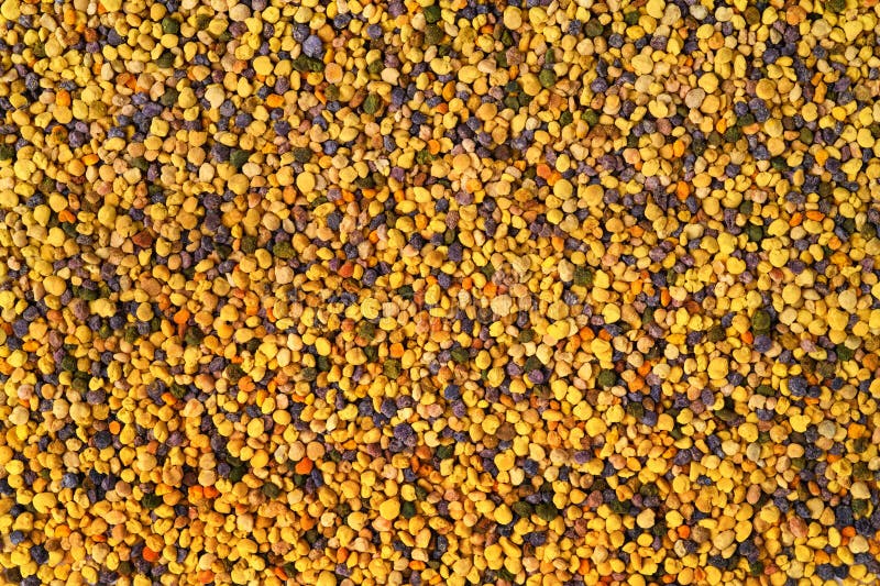 Bee pollen texture stock photo. Image of healthy, spices - 276176092