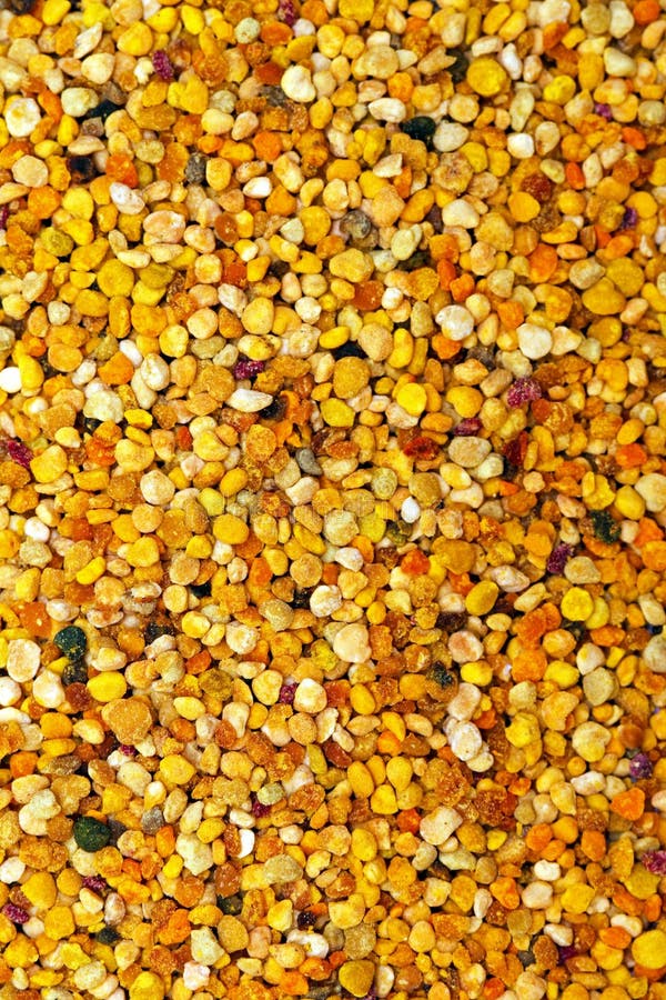 Bee pollen background stock photo. Image of grain, healthy - 18850556