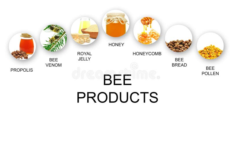 Bee products stock photo. Image of sticky, products - 209865896