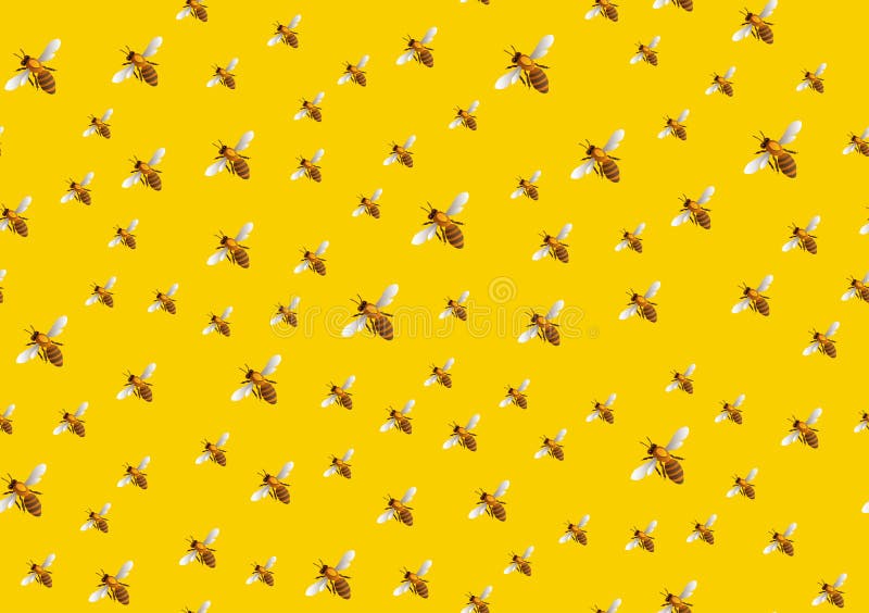 Bee Seamless Pattern Background . Vector Bee Background Stock Vector ...