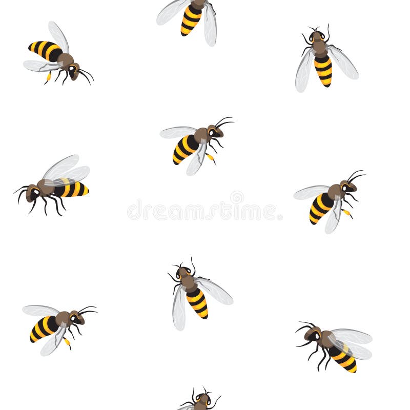 Bee Seamless Pattern. Honey Bee Vector Illustration. EPS10. Stock ...