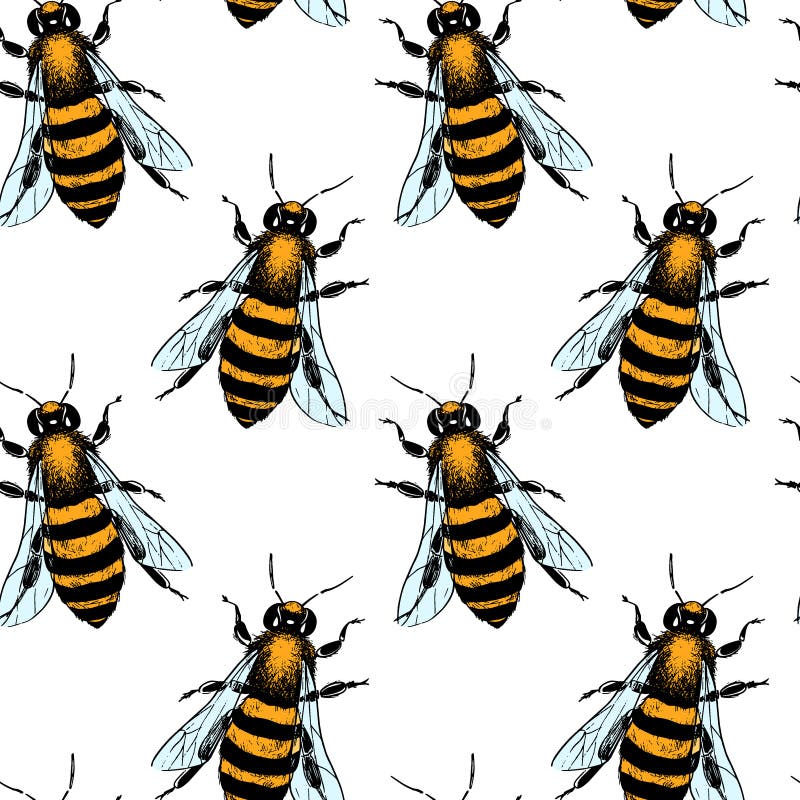 Bee seamless pattern stock vector. Illustration of graphic - 92703090