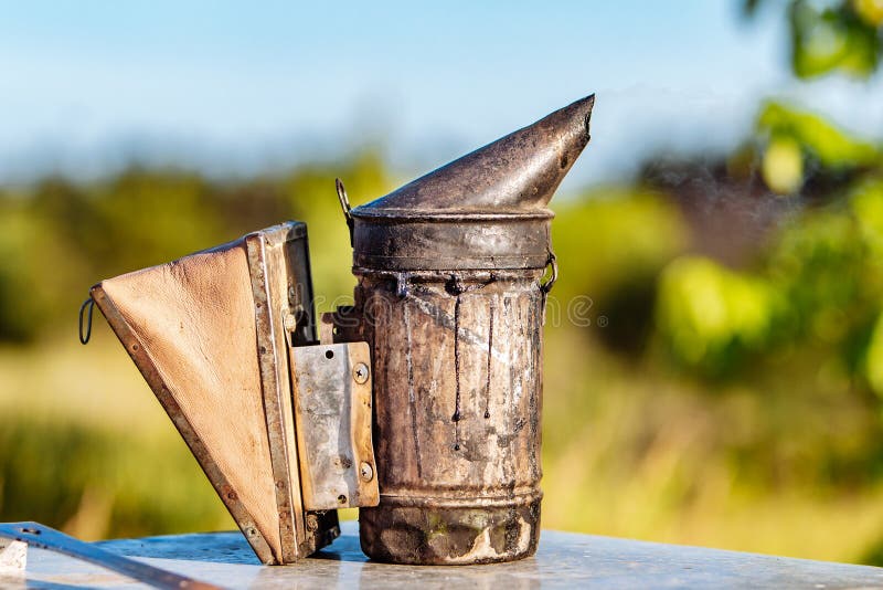 Bee Smoker Stock Illustrations – 1,388 Bee Smoker Stock Illustrations ...