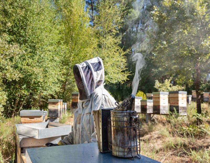 Bee Smoker, a Beekeeping Basic Equipment Editorial Image - Image of ...