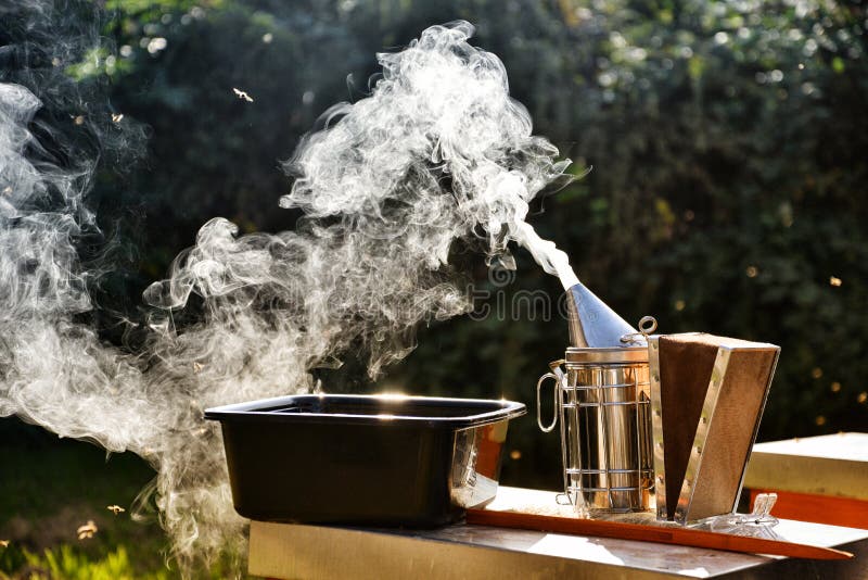 Bee Smoker Smoking in Apiary. Useful Tool for Beekeepers. Stock Photo ...