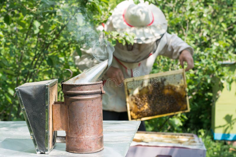Bee smoker tool stock image. Image of brown, frame, honeycomb - 269836043