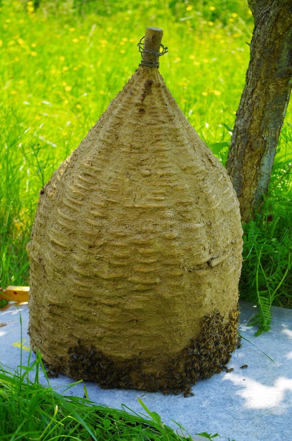 Bee Swarm, Bee Swarming in Spring Season. Stock Image - Image of hands ...