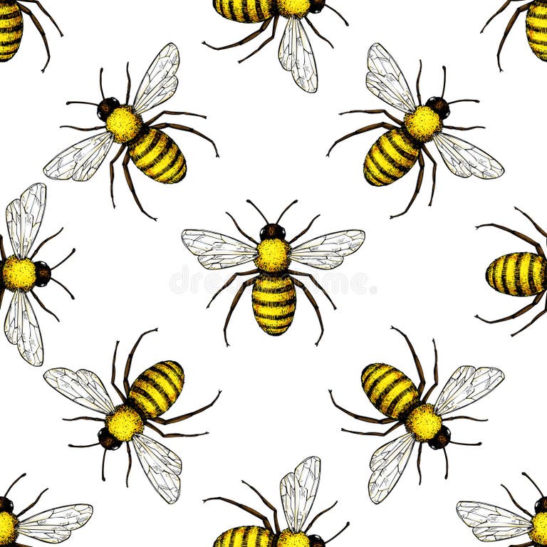 Vintage Bee Background Stock Illustrations – 16,884 Vintage Bee ...