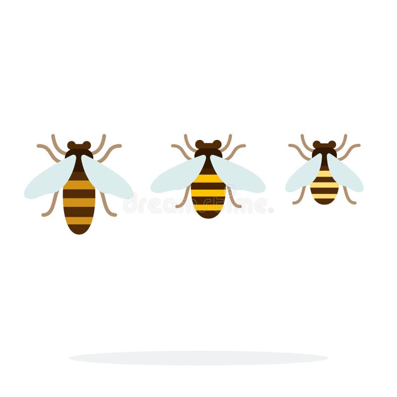 Bee Front View Flat Isolated Stock Vector - Illustration of isolated ...