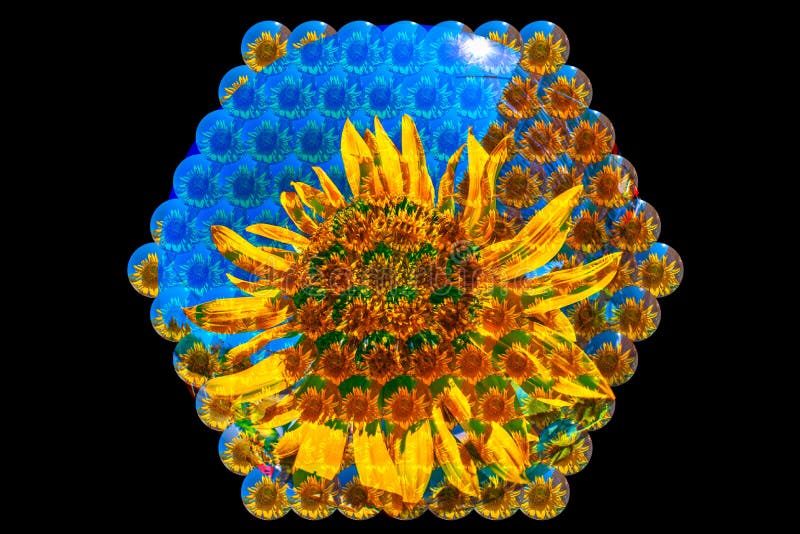 Bee vision stock illustration. Illustration of details - 77389465