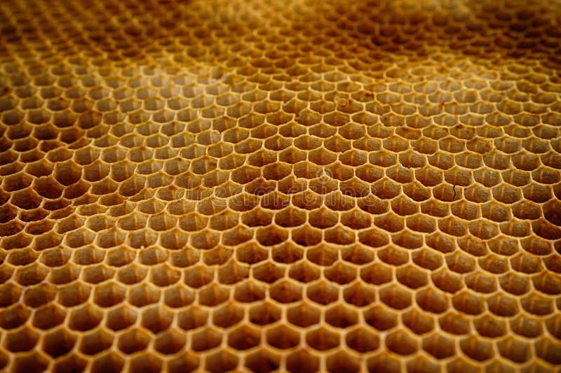Bee wax texture stock photo. Image of hive, orange, structure - 127087942