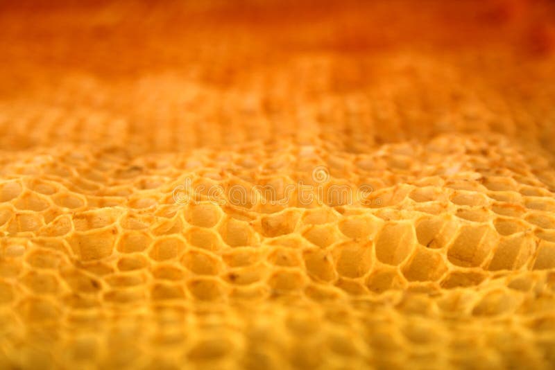 Bee wax texture stock photo. Image of food, brown, pattern - 87854168