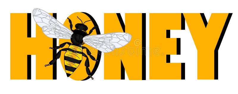 Bee and word stock illustration. Illustration of wing - 184324001