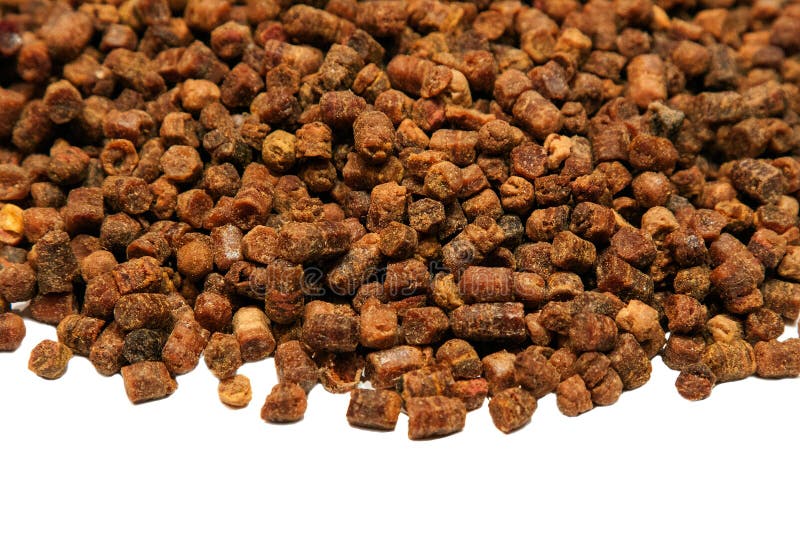 Beebread Grains with Text Place Stock Photo - Image of text, vitamins ...