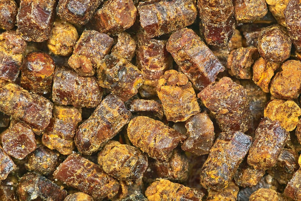 Beebread macro stock image. Image of texture, natural - 8799643