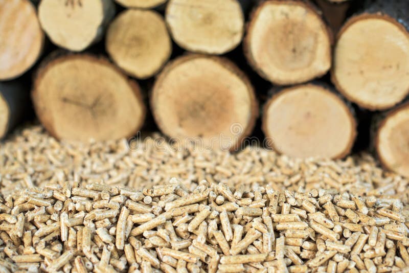 Beech Biomass- Pellets in Front of Pile of Beech Wood Stock Photo ...