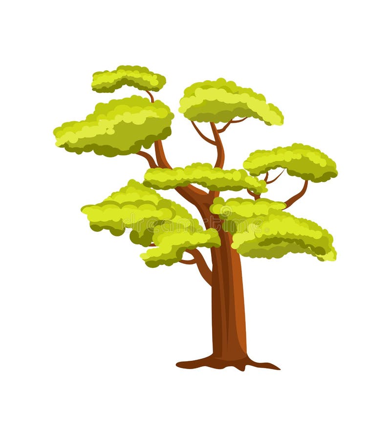 Beech Icon Stock Illustrations – 2,485 Beech Icon Stock Illustrations ...