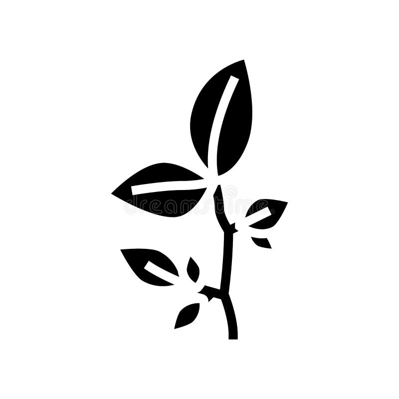 Beech Leaf Glyph Icon Vector Illustration Stock Vector - Illustration ...