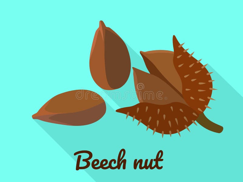 Beech Logo Stock Illustrations – 1,063 Beech Logo Stock Illustrations ...