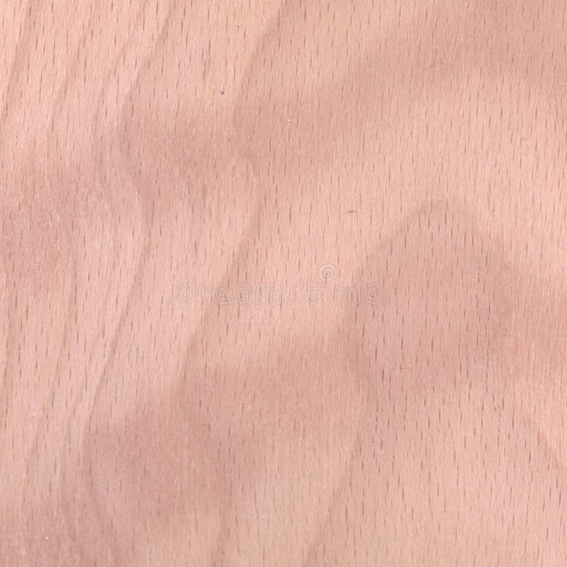 Beech plywood stock photo. Image of abstract, decorative - 171521494