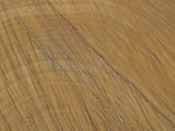 Beech texture stock photo. Image of bole, brown, texture - 28585144