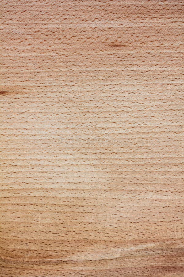 Beech texture stock photo. Image of detail, wooden, brown - 39399090