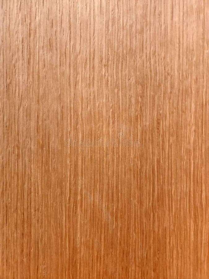 Beech Texture. Beech Wood Background Stock Photo - Image of material ...