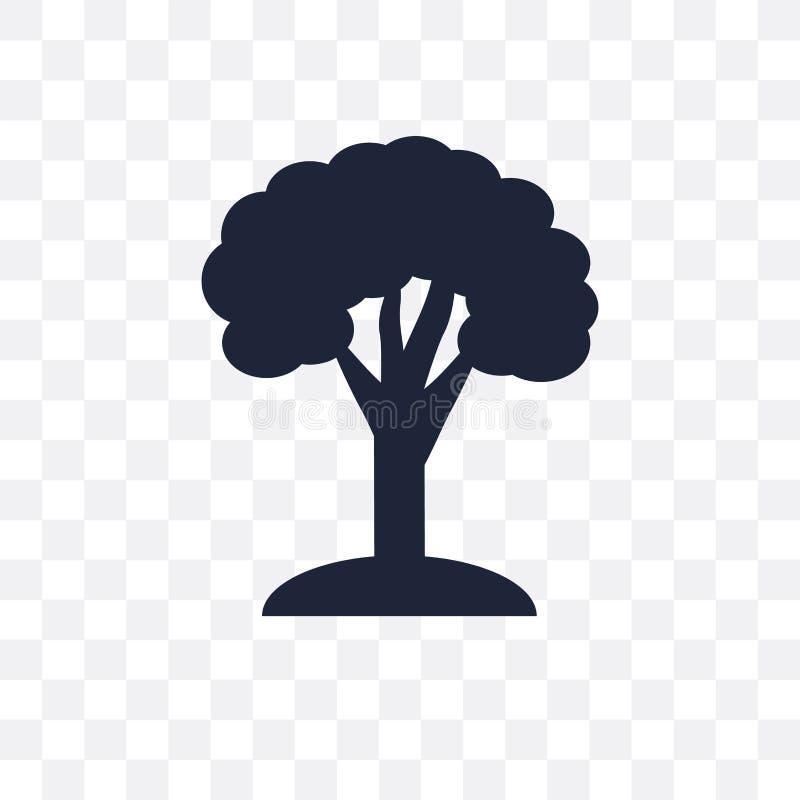 Beech Transparent Icon. Beech Symbol Design from Nature Collection ...